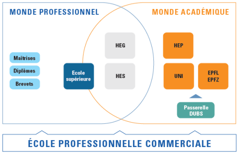 Maturité Professionnelle post-CFC types Économie / Services